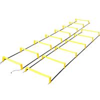 China 20ft Pro Agility Ladder 12 Rung Soccer Training Ladder Mixed Color for sale