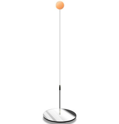 China Rebounding Table Tennis Trainer Indoor Training Ping Pong Robot Trainer for sale