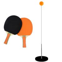 China Rebounding Table Tennis Trainer Indoor Training Ping Pong Robot Trainer for sale