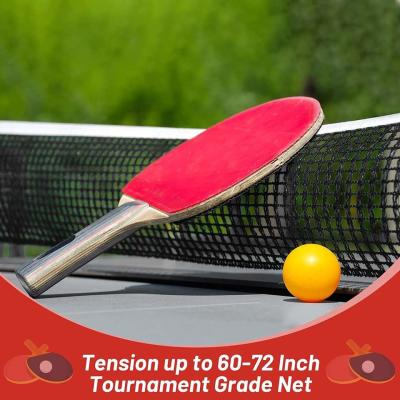 China Compact Ping Pong Adjustable Net With 0.5kg Net Post Weight for sale
