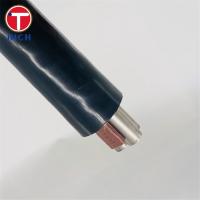 China Multi-Core Stainless Steel Seamless Tube with Plastic Coating for Shipbuilding in 304L/316L/Duplex 2205 Grades and Cold Drawn/Hot Rolled Techniques for sale