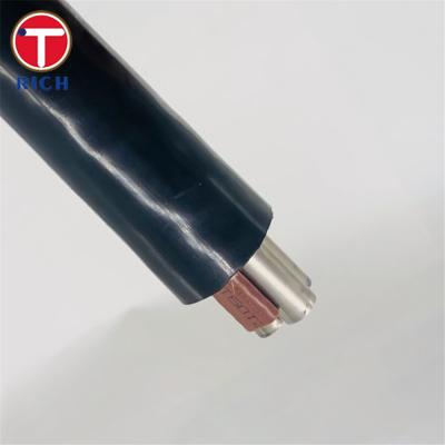 China Multi-Core Stainless Steel Seamless Tube with Plastic Coating for Shipbuilding in 304L/316L/Duplex 2205 Grades and Cold Drawn/Hot Rolled Techniques for sale