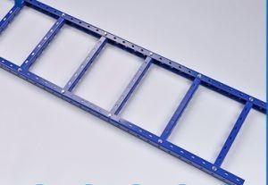 China 1.0-3.0mm Thicknees Electrostatic Powder Coated Large-Span Ladder Cable Tray with Hole for sale