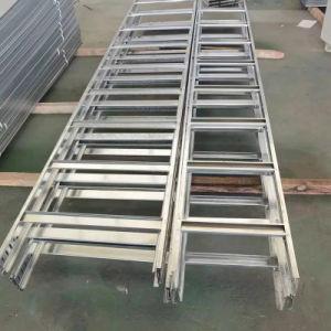 China 2m 6m Length Outdoor Heavy Duty Hot DIP Galvanized Cable Tray for Ladder Mounting for sale