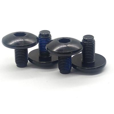 China Stainless Steel Socket Head Screws M2 M6 M8 Black Oxide Machine Screws 3m 4m for sale