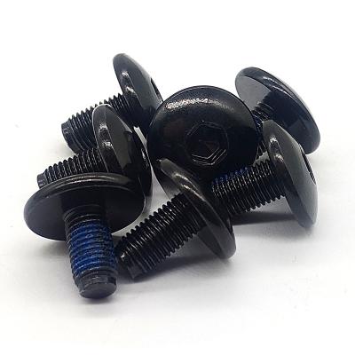 China CNC Machined Pre-Applied Adhesive Black Nylon Patch Screws - Micro Machining Lock Fasteners with ISO 9001:2015 Certification for sale