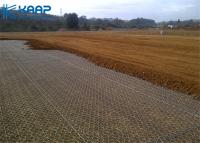 China Hexagonal Gabion Panels 8x10cm Aperture Mechanically Double Twisted for sale