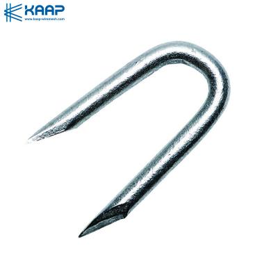 China Galvanized Netting Fencing Staple Construction Q195 U Type Nail for sale