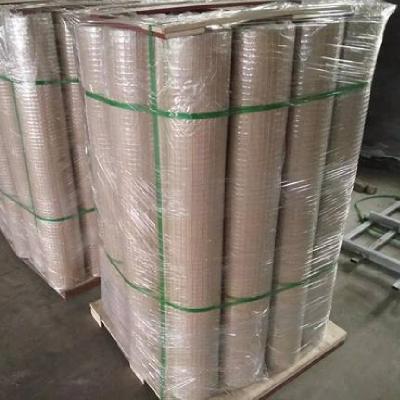 China 20kg Animal Fence Garden Pet 30m Galvanised Welded Wire Mesh for sale