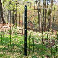 China 23 BWG 1/4x1/4 7m Pvc Coated Welded Wire Mesh for sale