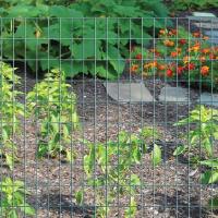 China Square Hole Galvanized 1.2x30m Welded Iron Mesh for sale