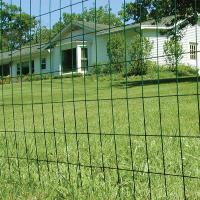 China 1/4 Inch Galvanized 1.5x20m Welded Rabbit Cage Wire Mesh for sale