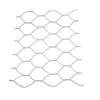 China 2.7mm 9*12cm 2x1x1m  Galvanized Gabion Baskets for sale