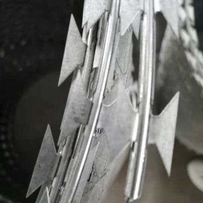 China 450mm Razor Hot Dipped Concertina Barbed Wire for sale