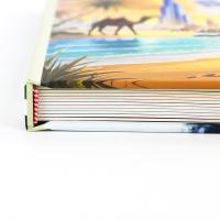 China Eco Friendly Custom Picture Book 4C Illustration Story Book Customized for sale