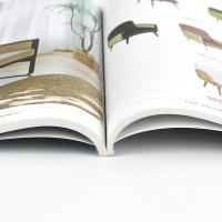 China Customized Full Color Magazine Printing Glossy / Matte Soft Cover Magazine for sale