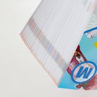 China Customized Catalogue Brochure Printing A4 8.5
