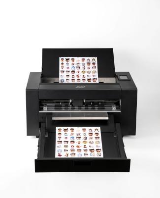 China Anycut Full Cut And Half Cut Double Heads Self-adhesive Sticker Die Cutting Machine for sale