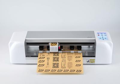 China Anycut ZK500 Economic Automatic Induction Feeding Paper Compact Die Cutting Machine for sale