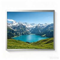 China CMI G121XCE-L02 12.1 Inch XGA Industrial TFT LCD 500 Nits 20Pin LVDS -30~70℃ for sale