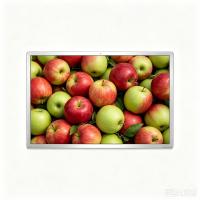 China 10.1 Inch JY101BX02 500/1000cd/m2 WXGA TFT LCD Display 5.0mm Ultra Thin Display Panel for sale