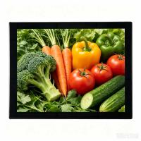 China 17 Inch 4:3 1280*1024 350cd/m2 500cd/m2 1000cd/m2 Open Frame Industrial Monitor JYM1709005V2 for sale