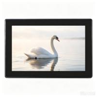China 10.1 Inch Industrial Touch Monitor JYM1019447V1 Capacitive Touch Multiple Options VESA Mount DC12V for sale