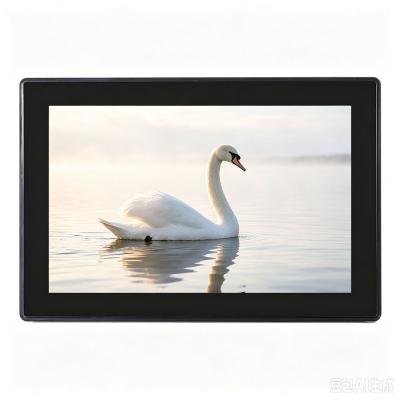 China 10.1 Inch Industrial Touch Monitor JYM1019447V1 Capacitive Touch Multiple Options VESA Mount DC12V for sale