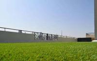 China Landscaping Garden Pet Artificial Grass 20mm UV Resistance for sale