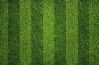 China Non Infill Mini Football Artificial Grass 30mm Green Carpet Artificial Grass for sale