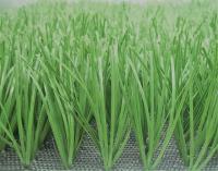 China Lemon Grass Football Artificial Grass Baseball 50mm Artificial Cricket Pitch Carpet for sale