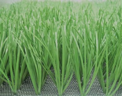 China Lemon Grass Football Artificial Grass Baseball 50mm Artificial Cricket Pitch Carpet for sale