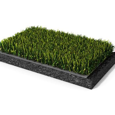 China Customized Artificial Grass Non Infill Turf For Soccer And Football Fields for sale