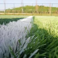 China 50mm Football Artificial Grass Field Green Football Turf Grass for sale
