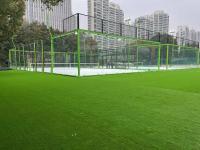 China Tennis Colored Artificial Turf Golf Padel Hockey Field Plastic Artificial Grass For Sport Field for sale