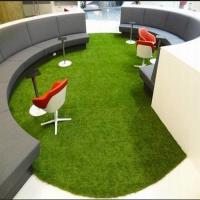 China Constantia Autumn 35mm Landscaping Artificial Grass PE for sale