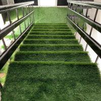 China Constantia Autumn 35mm Landscaping Artificial Grass PE for sale