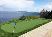 China 15mm Artificial Synthetic Golf Artificial Grass Outdoor Indoor for sale
