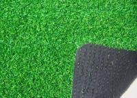 China Natural Looking Mini Golf Artificial Grass PE Curled Yarn Non Toxic for sale