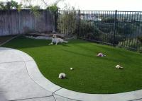 China Plastic Pet Artificial Grass UV Resistance 30mm Apple Green for sale