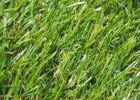 China U Shape 20mm Pet Artificial Grass PE Soft Indoor Outdoor for sale