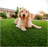China 35mm 4 Tone Artificial Turf For Dogs Outside Campgrounds for sale