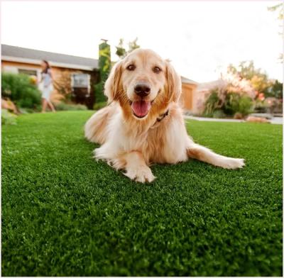 China 35mm 4 Tone Artificial Turf For Dogs Outside Campgrounds for sale