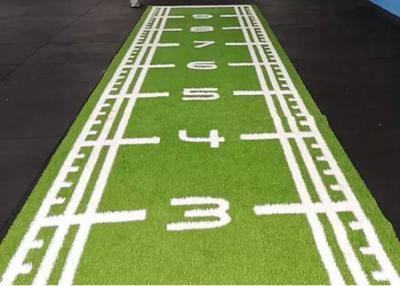 China 5mm Gym Artificial Turf Outdoor Indoor Monofilament Curly Fiber for sale