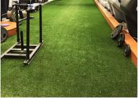 China Synthetic 20mm Artificial Gym Grass Fireproof 10mm for sale