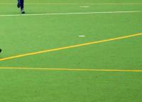 China Hard Wearing Hockey Artificial Turf PP Bicolor Environment Friendly 15mm for sale
