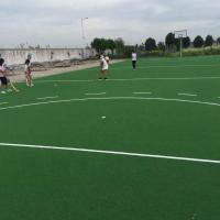 China SGS Non Infill Hockey Artificial Grass Long Lasting Natural Looking for sale