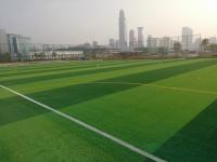 China Bicolor Synthetic Futsal Artificial Grass Fire Resistant For Field Soccer for sale
