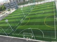China PE Natural Looking Football Ground Artificial Grass 50mm for sale
