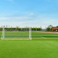 China Lawn Carpet 30mm-60mm Outdoor Artificial Grass Carpet Artificial Grass Mat for sale